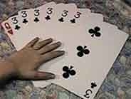 Wild Card - Gigant, 19,00